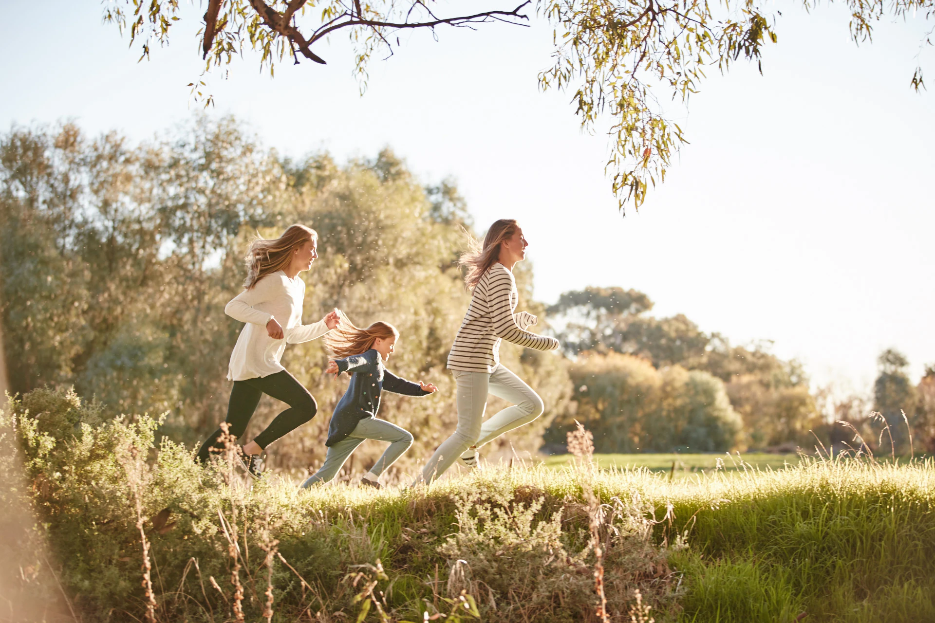 Interactive Map | Visit Swan Hill | Heart of the Murray